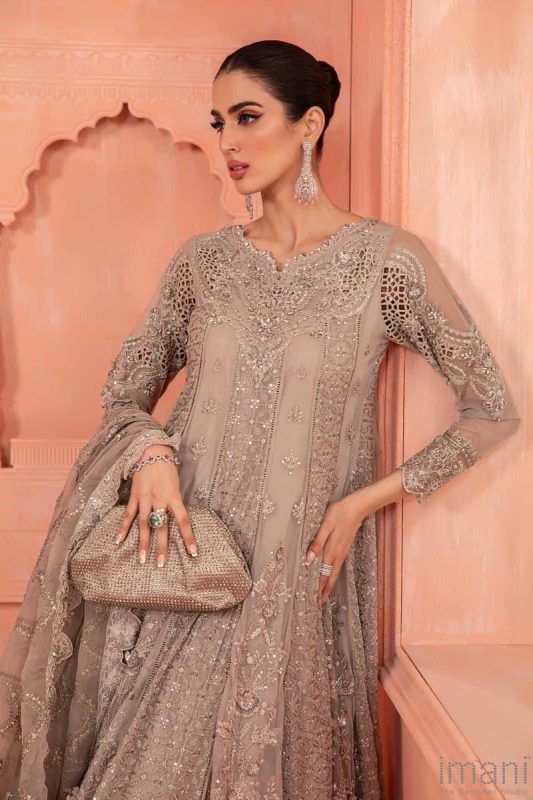 Luxury Formal Taupe Embroidered Net Outfit MBSF-PF2403TG - Imani Studio