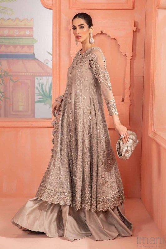 Luxury Formal Taupe Embroidered Net Outfit MBSF-PF2403TG - Imani Studio